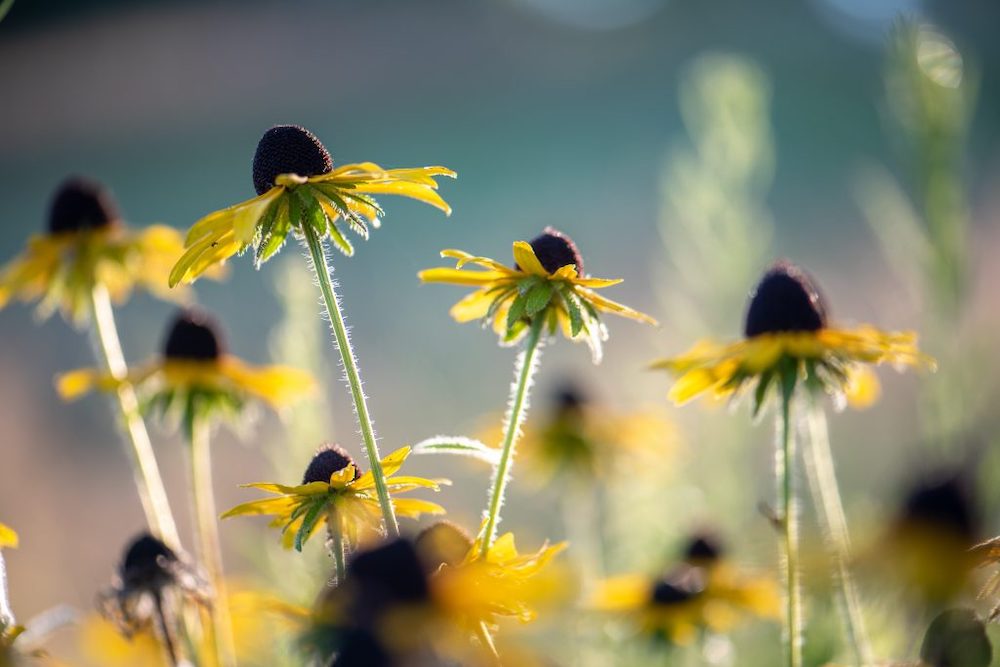 Unforgettable Events at Three Waters Reserve – Three Waters Reserve