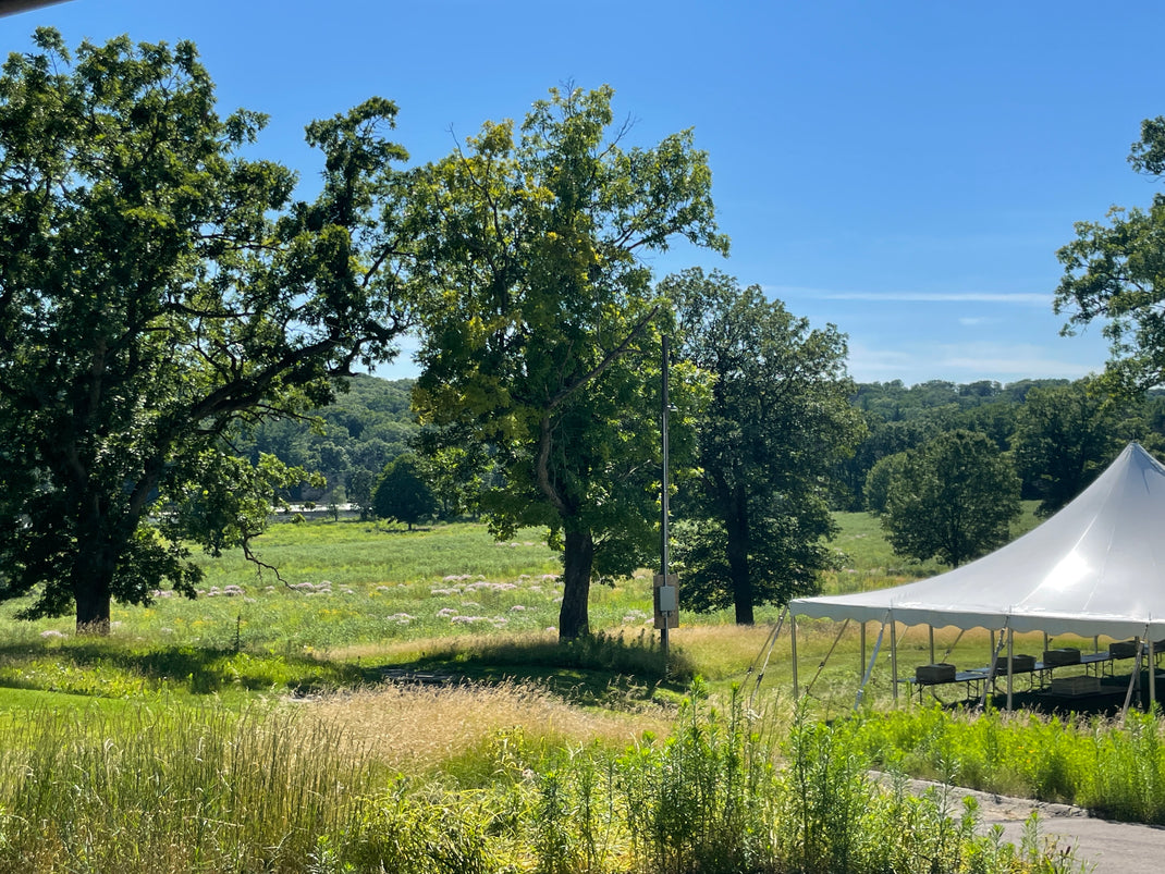 Amenities – Three Waters Reserve