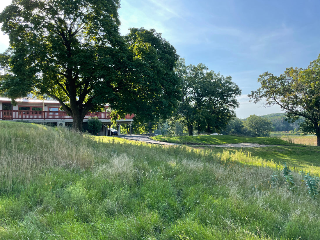 Amenities – Three Waters Reserve