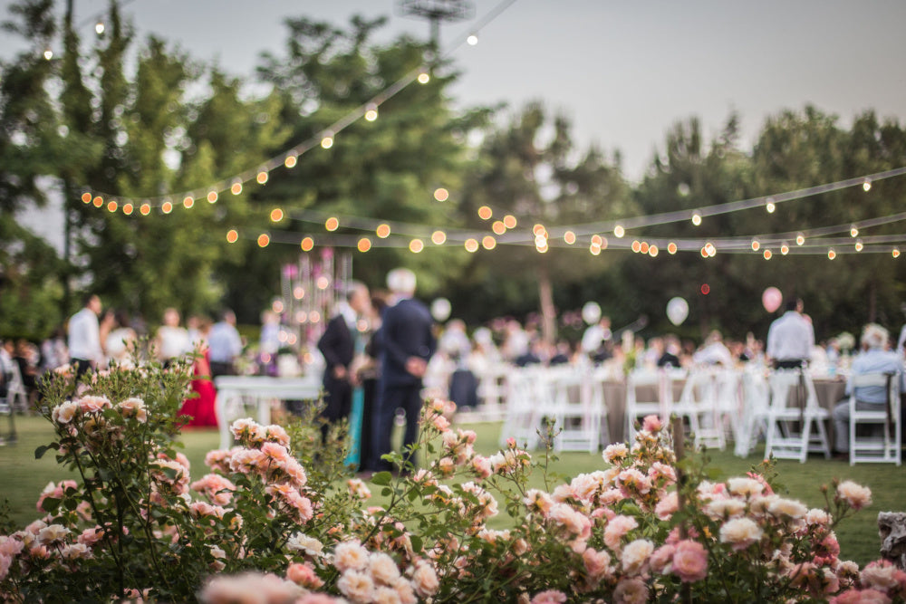 Unforgettable Events at Three Waters Reserve – Three Waters Reserve