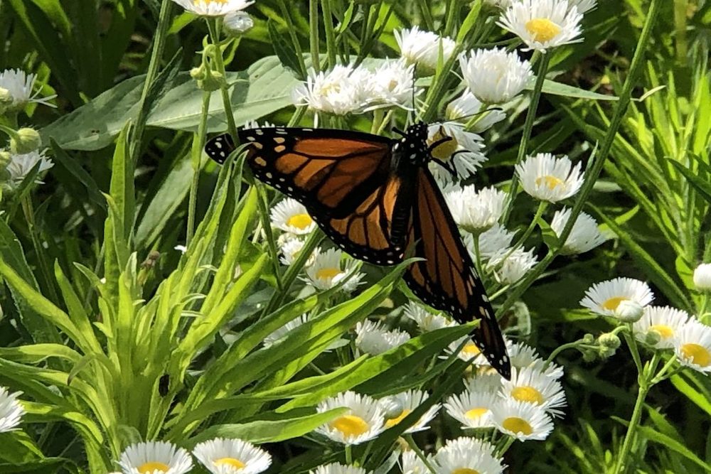 Unforgettable Events at Three Waters Reserve – Three Waters Reserve